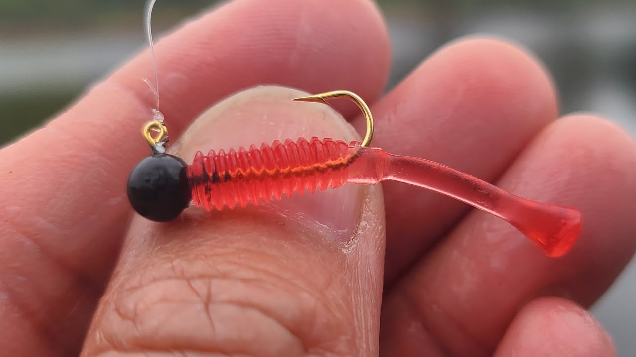 Rare Fish Ultra Light Mini Mite Catches Fish - YouTube