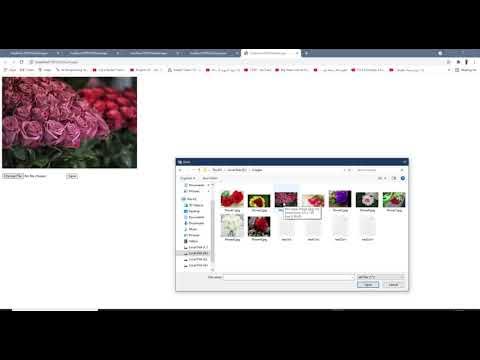 ASP.Net Controls ImageMap, Panel, Multiview, Table - YouTube