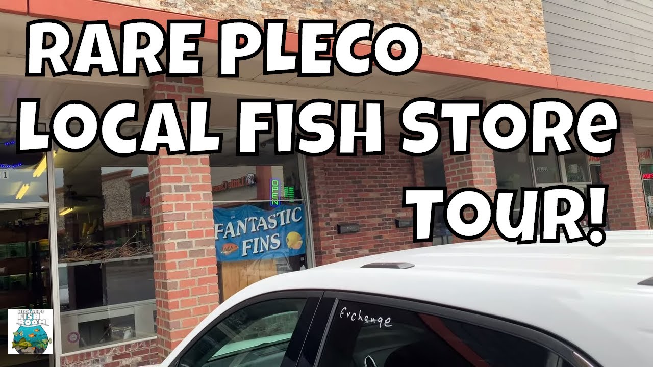 RARE PLECO LOCAL FISH STORE TOUR! - YouTube