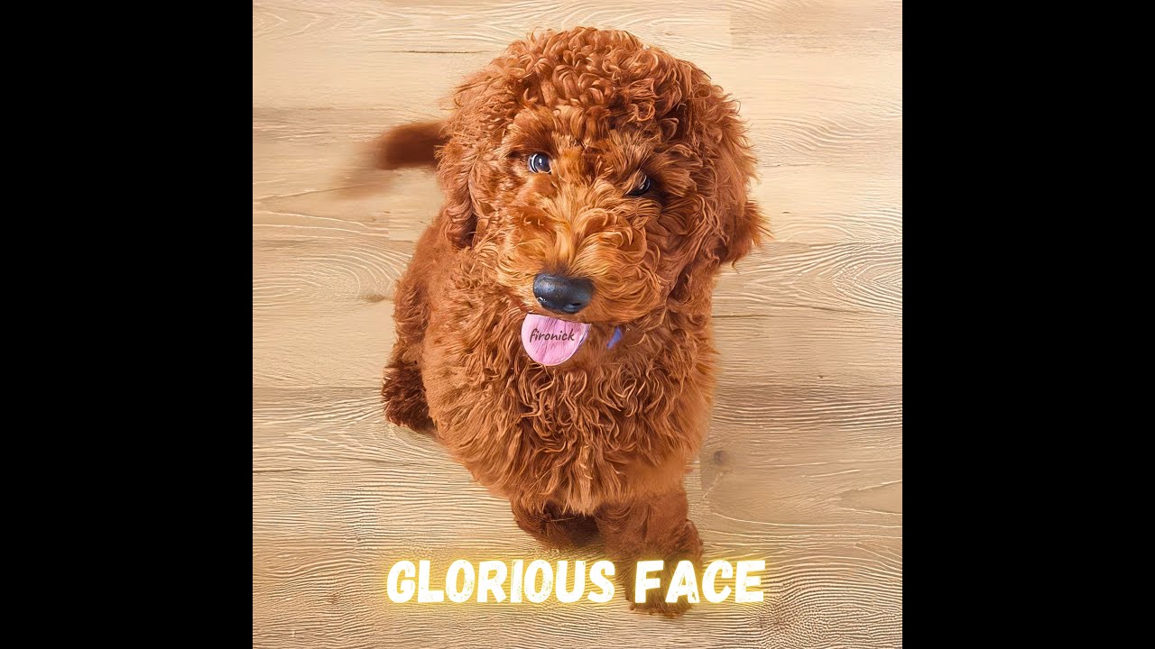 Glorious Face - YouTube