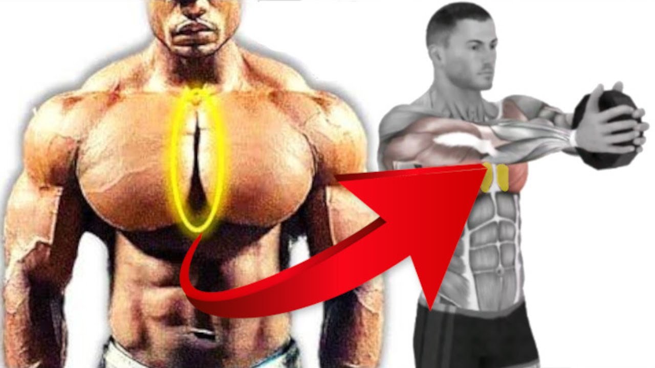 💥 5 MEJORES EJERCICIOS PARA LA PARTE INTERNA DEL PECHO 💪 - YouTube
