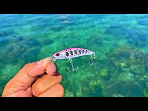 Mancing Casting di Karang Dangkal, Strikenya bikin Ketagihan