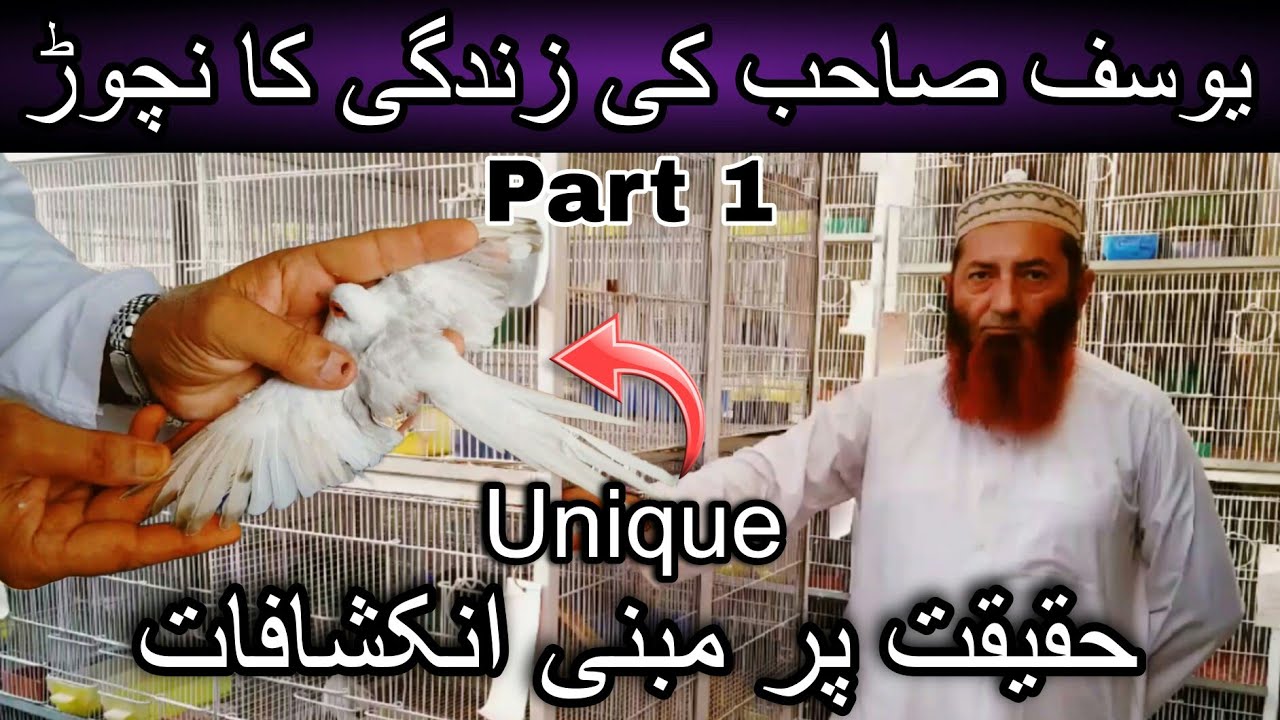 Yousuf Mangi Sahab Unique Paid dove setup in karachi part 1| Diamond ...