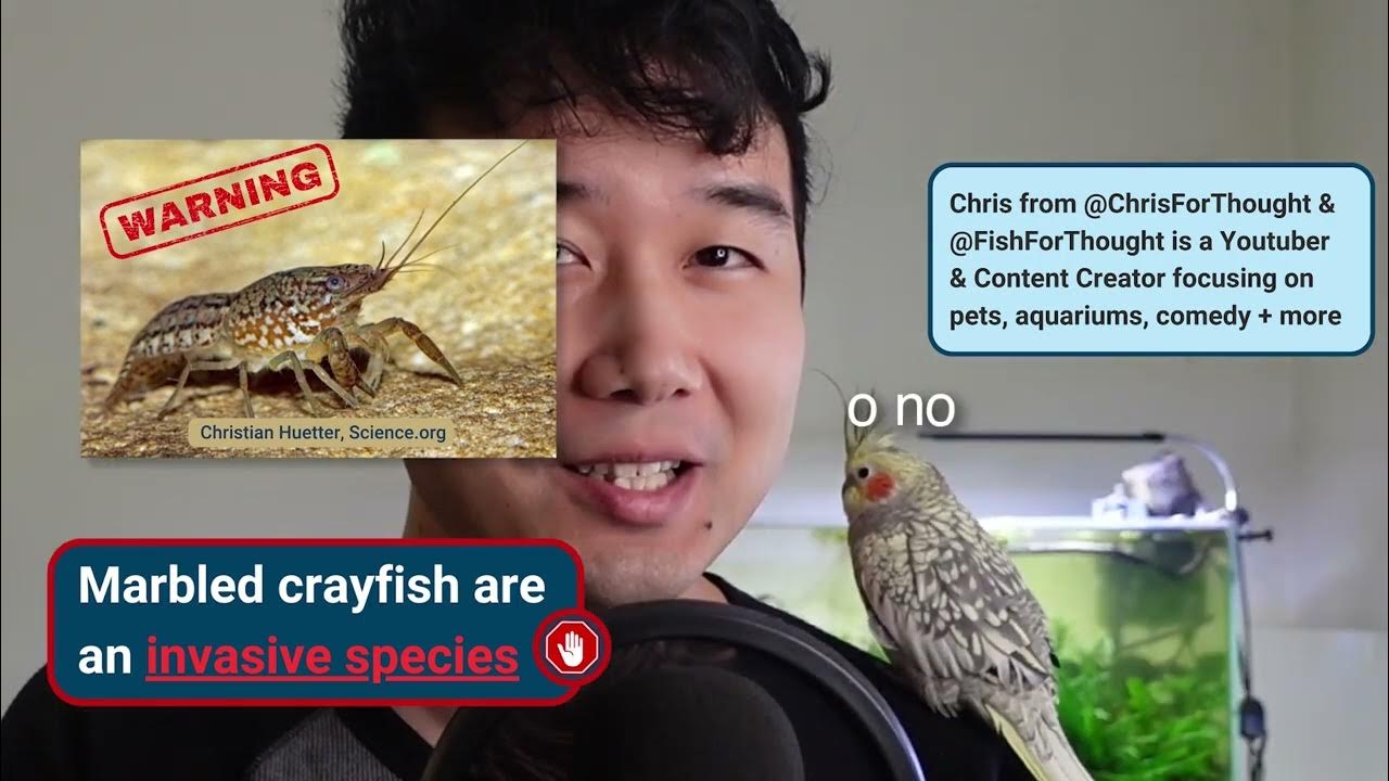 Don't Let It Loose - Canada - YouTube