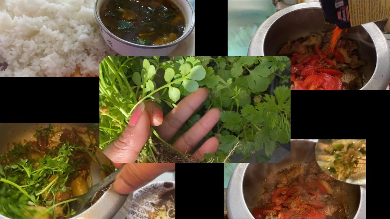 Organic chamsur saag very healthy and fresh 🌱 - YouTube