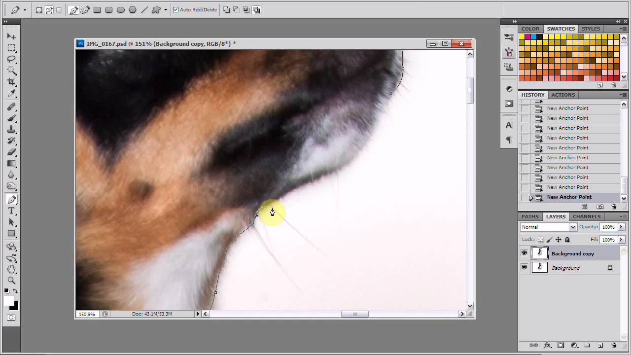 Cutting Out With the Pen Tool - Photoshop - YouTube
