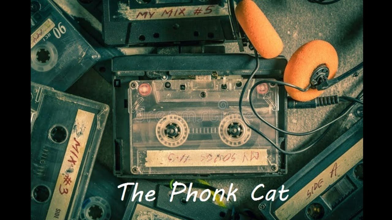 The Phonk Cat - YouTube