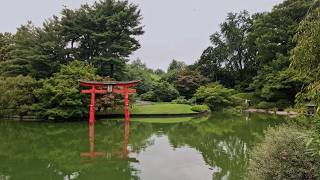 Brooklyn Botanic Garden Walking Tour 4K | Explore One of New York City's Most Beautiful Gardens