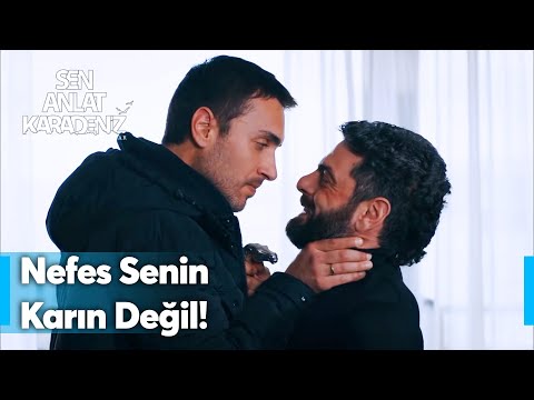 Tahir, Vedat'ın boğazına çöktü! - Sen Anlat Karadeniz