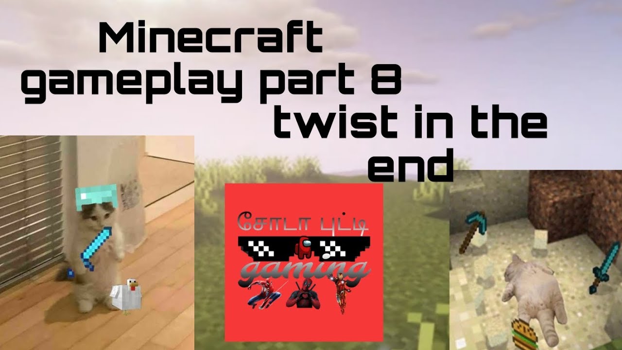 Minecraft gameplay part 8 twist in the end - YouTube