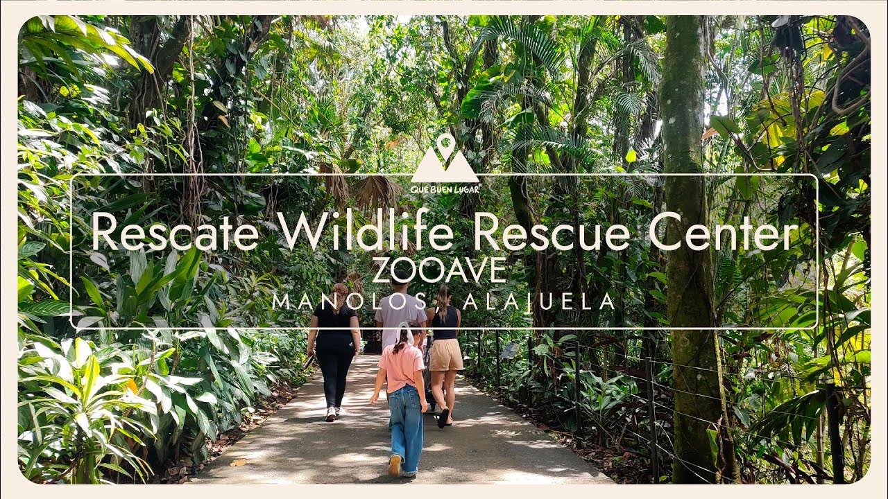 Centro de rescate animal MÁS GRANDE de Centroamerica. Rescate Wildlife Zooave , Costa Rica ...