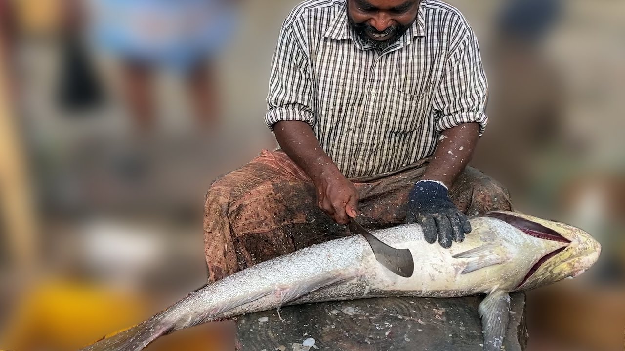 Nei Meen Kadal Viral Masters Of Fish Cutting 20 YouTube nei-meen-kadal-viral-masters-of-fish-cutting-20-youtube