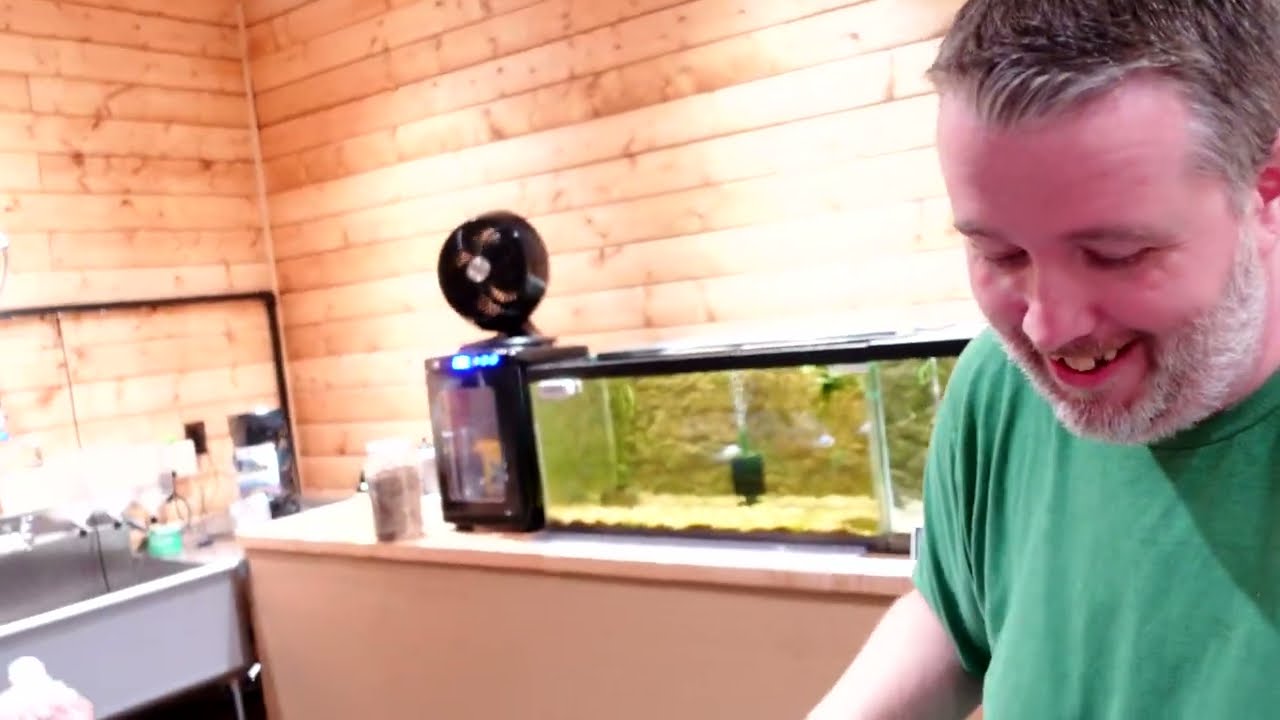 Adding 30 NEW Fish to My 800 Gallon Aquarium - YouTube