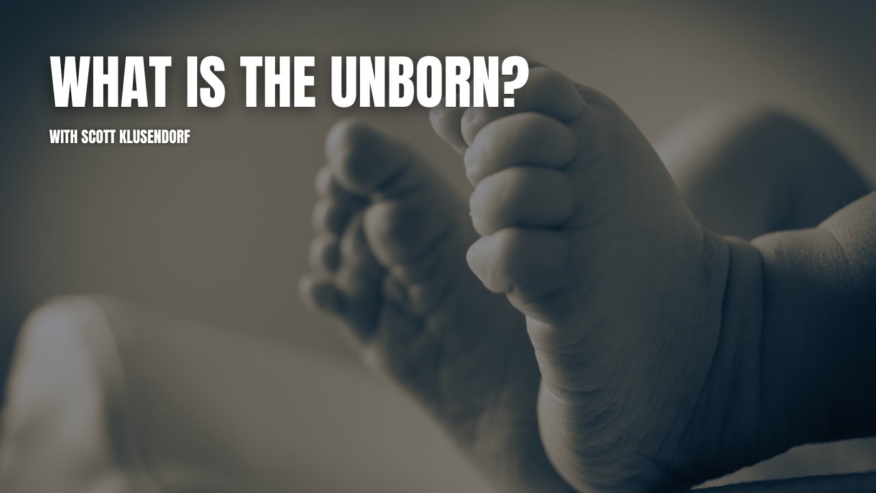 What is the unborn? And Other Questions to Advance the Pro-Life ...