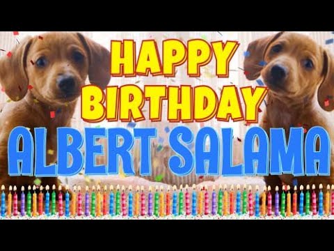 Happy Birthday Albert Salama! ( Funny Talking Dogs ) What Is Free On My ...