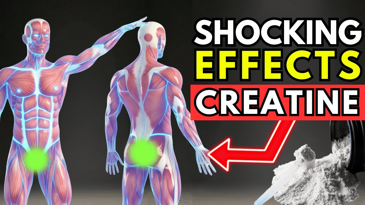 10 Body Changes After Taking 5g of Creatine Daily for 30 Days – Muscle ...
