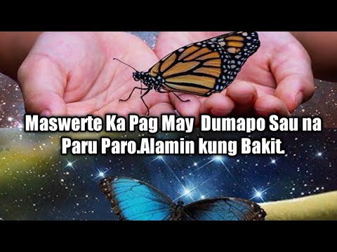 ibat ibang kulay ng paru paro swerte pala ang hatid nito.lalo na pag ...