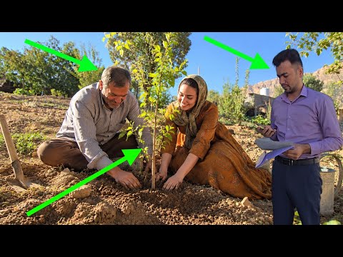 ⚘️Planting a sapling with love: The father-in-law's affection for Maryam shocked everyone.