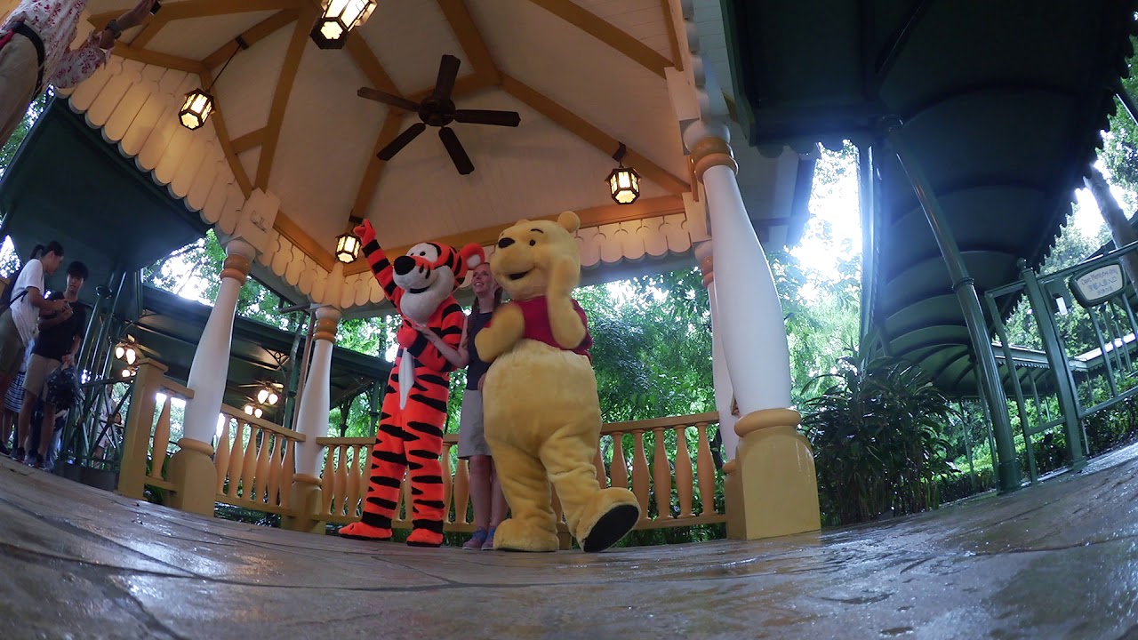 HKDL Summer 2018 day 4 Pooh and Tigger at Fantasy Gardens - YouTube