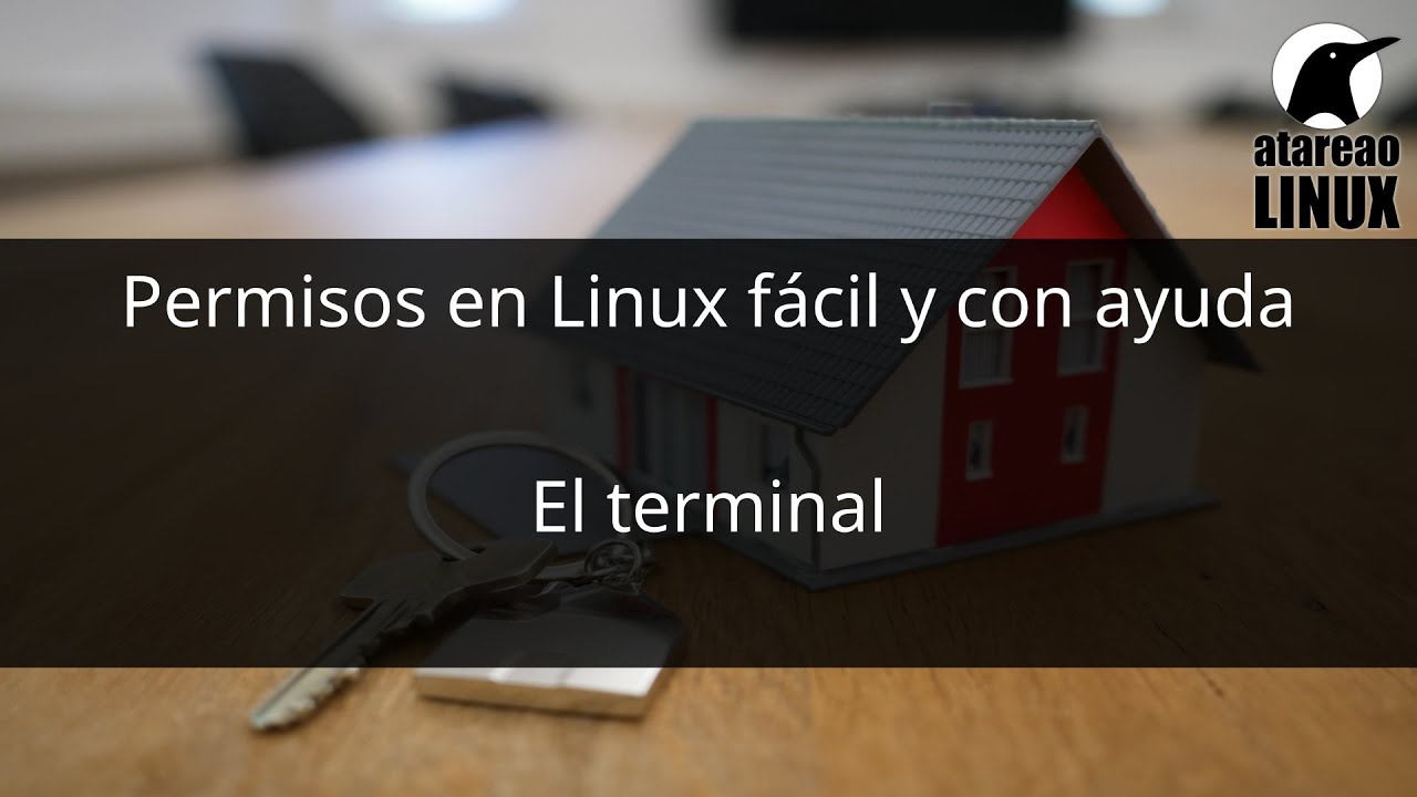 Permisos en Linux fácil y con ayuda. Chmod-cli. Increíblemente práctico ...
