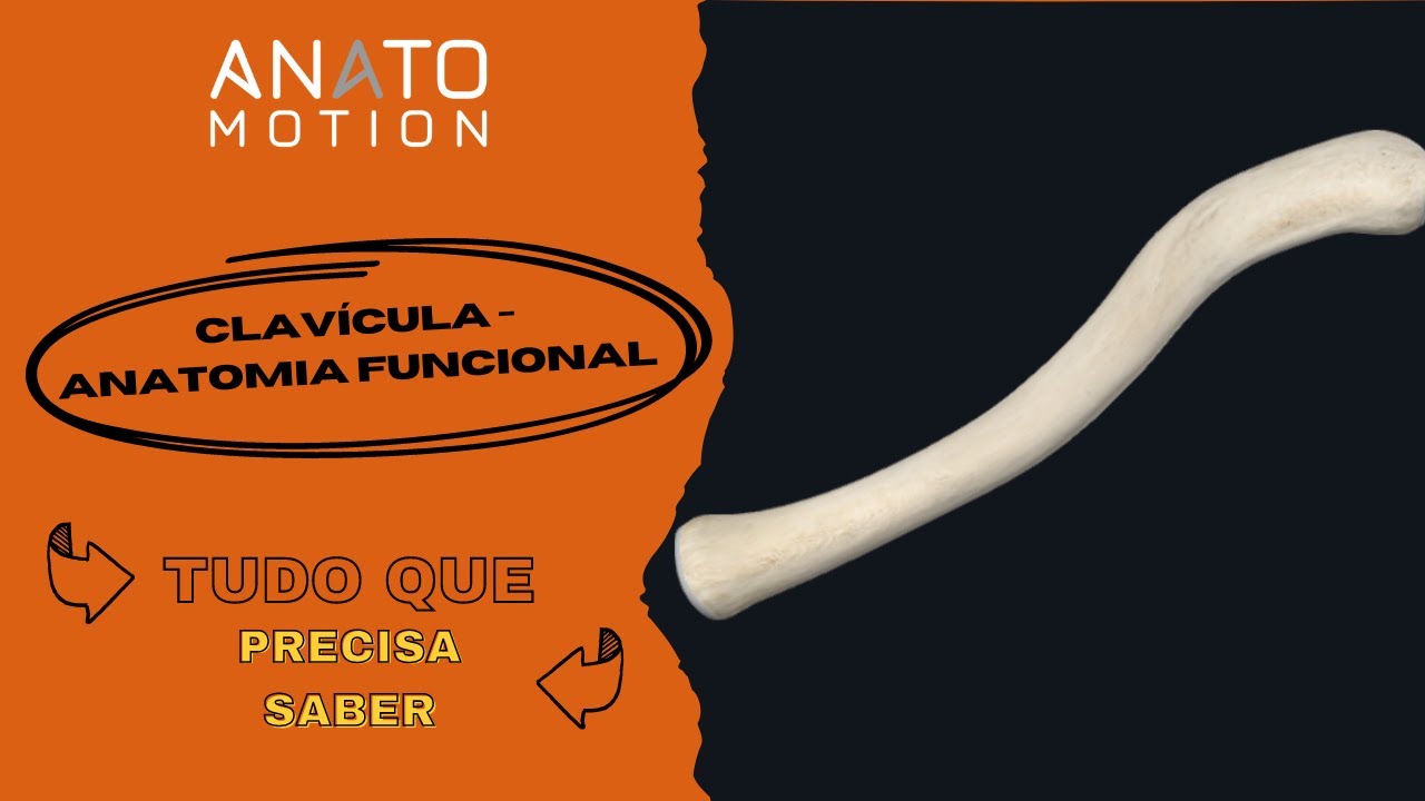 Clavícula - Anatomia Funcional - YouTube