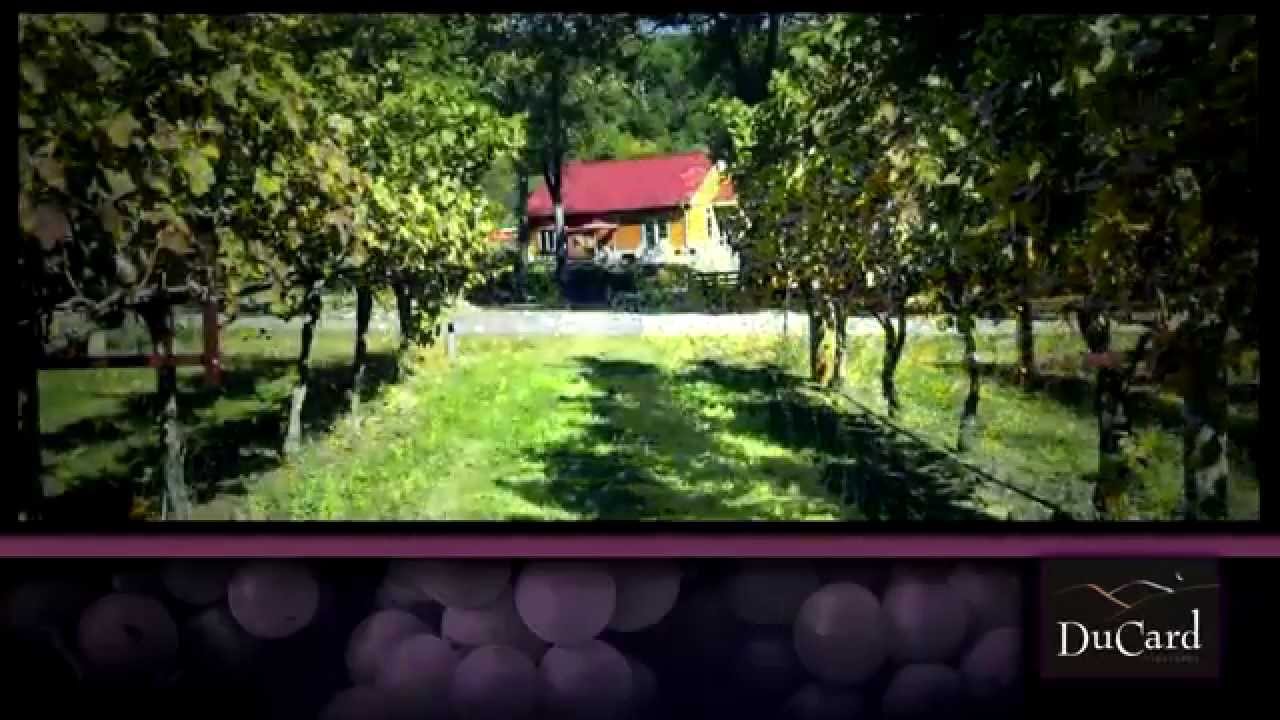 Meet Scott Elliff of DuCard Vineyards - YouTube