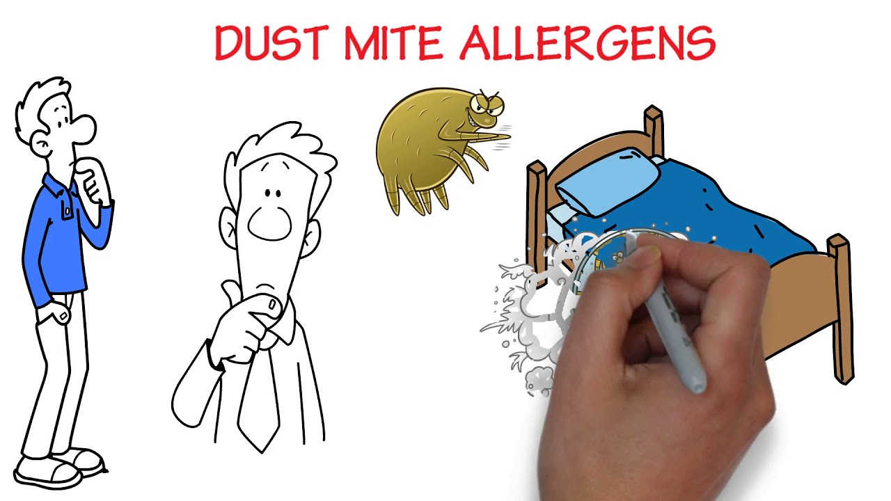 The Dust Mite Problem & How DeMite Laundry Additive Can Help - YouTube