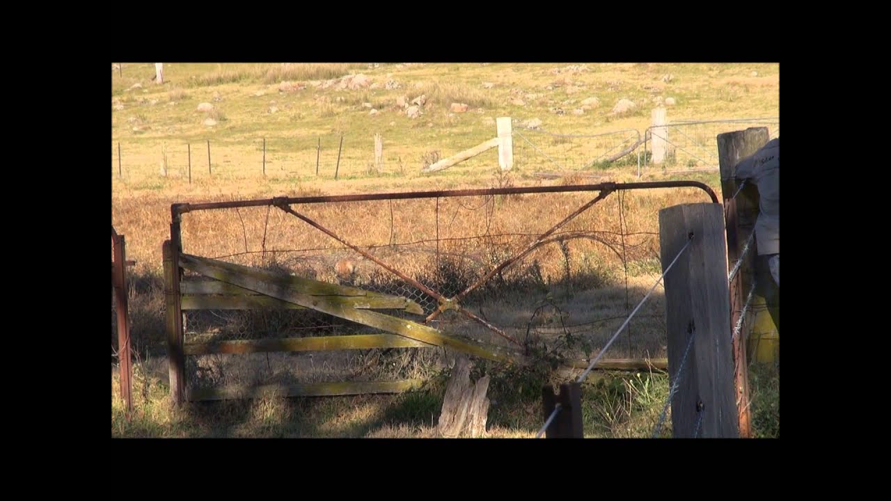 Silva Fox Whistles - PR Photography - YouTube