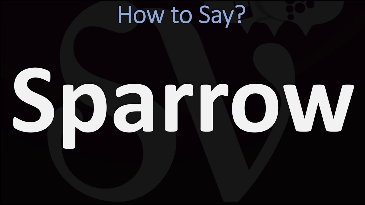 How to Pronounce Sparrow? (2 WAYS!) British Vs US/American English ...