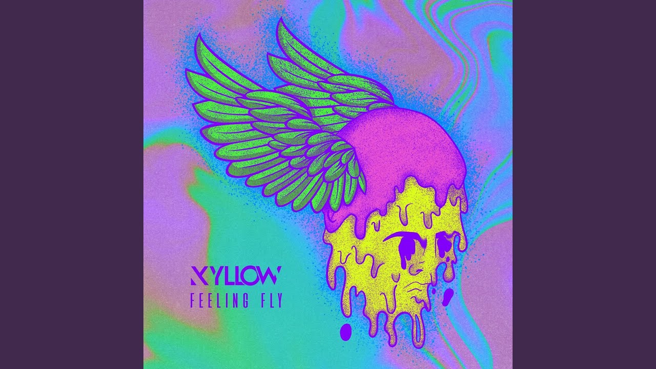 Feeling Fly (Extended Mix) - YouTube