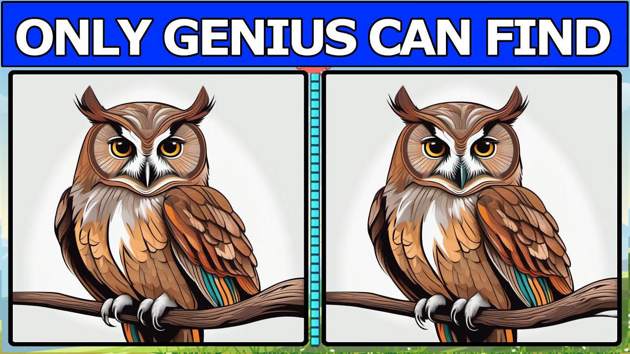 【Find the Difference】Only Genius Find Differences | Can you spot all ...