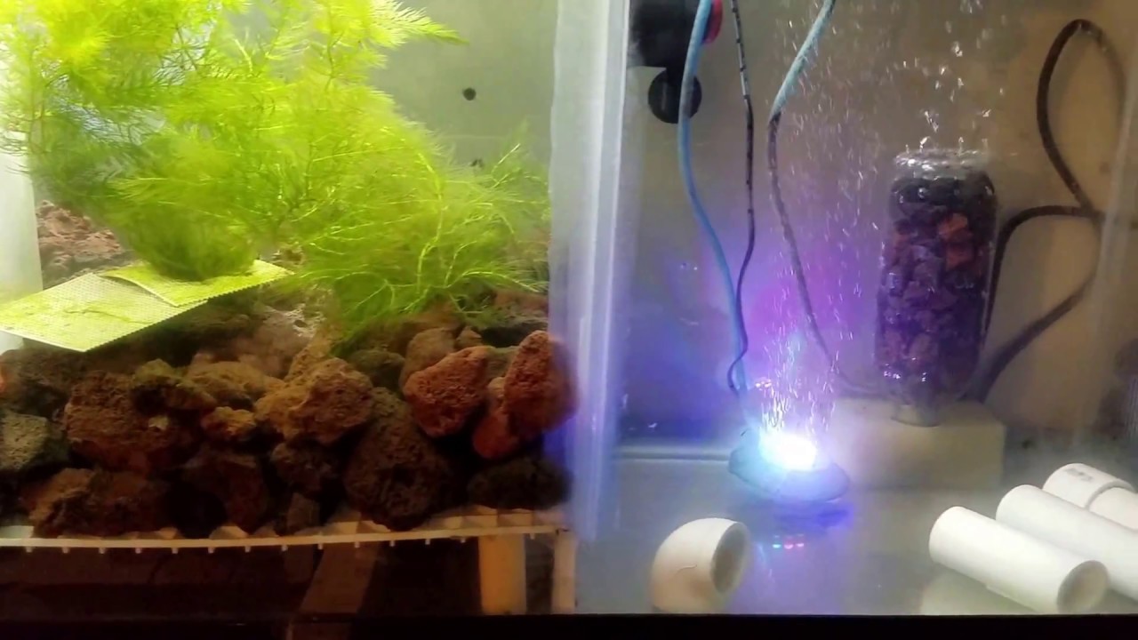 Freshwater sump tour - YouTube