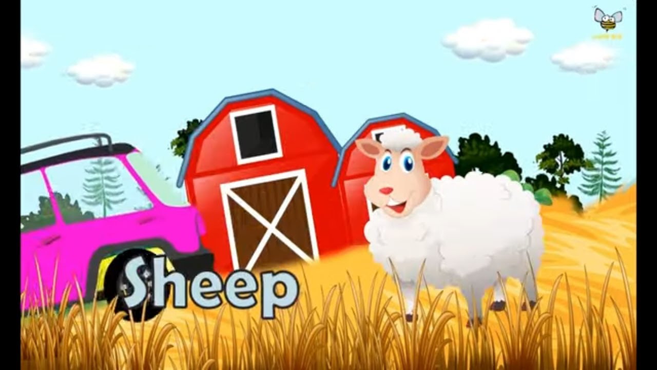 Learning Farm Animals Video For Kids And Toddlers - YouTube