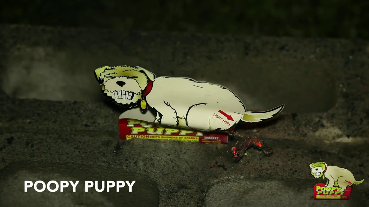 Poopy Puppy - YouTube