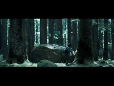 M CREAM Trailer - VAFF 2014