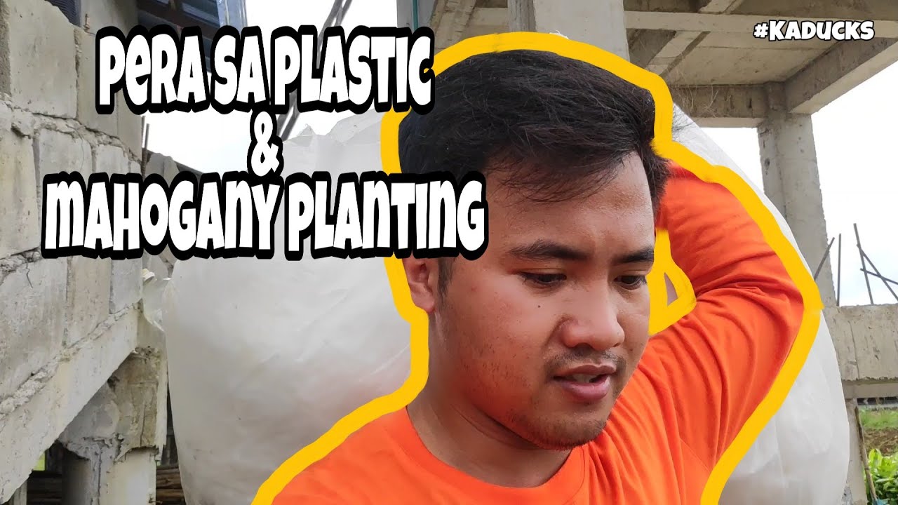 EP22 - EPEKTO NG MAHOGANY SA MGA POULTRY? TARA NA MAGTANIM #kaducks ...
