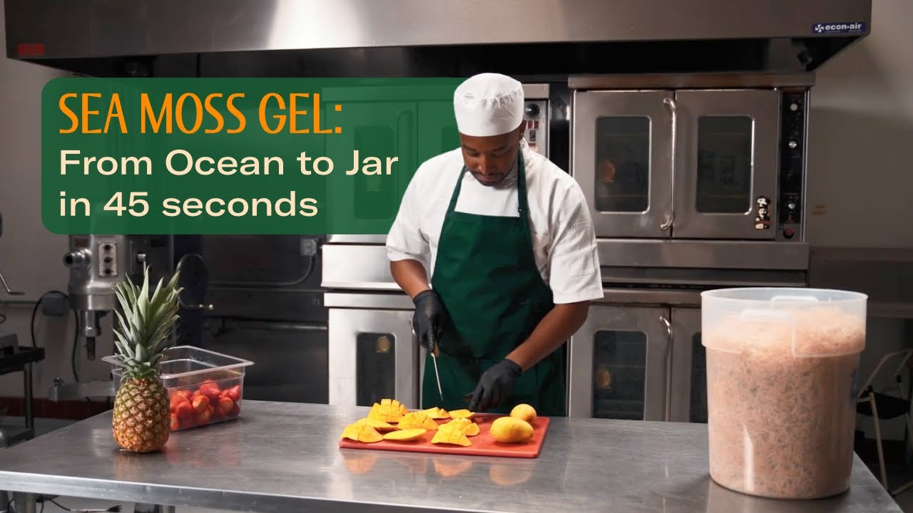 True Story : How We Make True Sea Moss — The Process Behind Every Jar ...