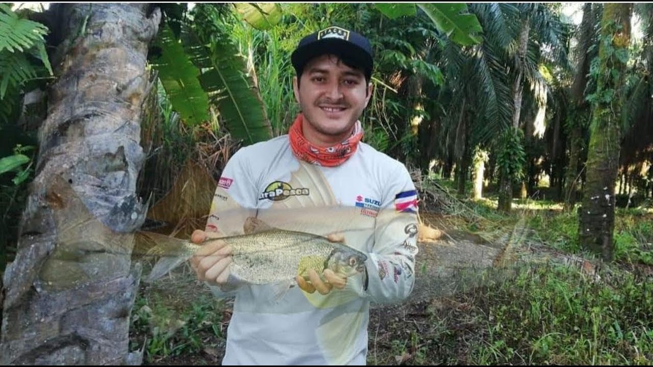 Monstruos de río! Robalo imparable salió de la nada! - YouTube