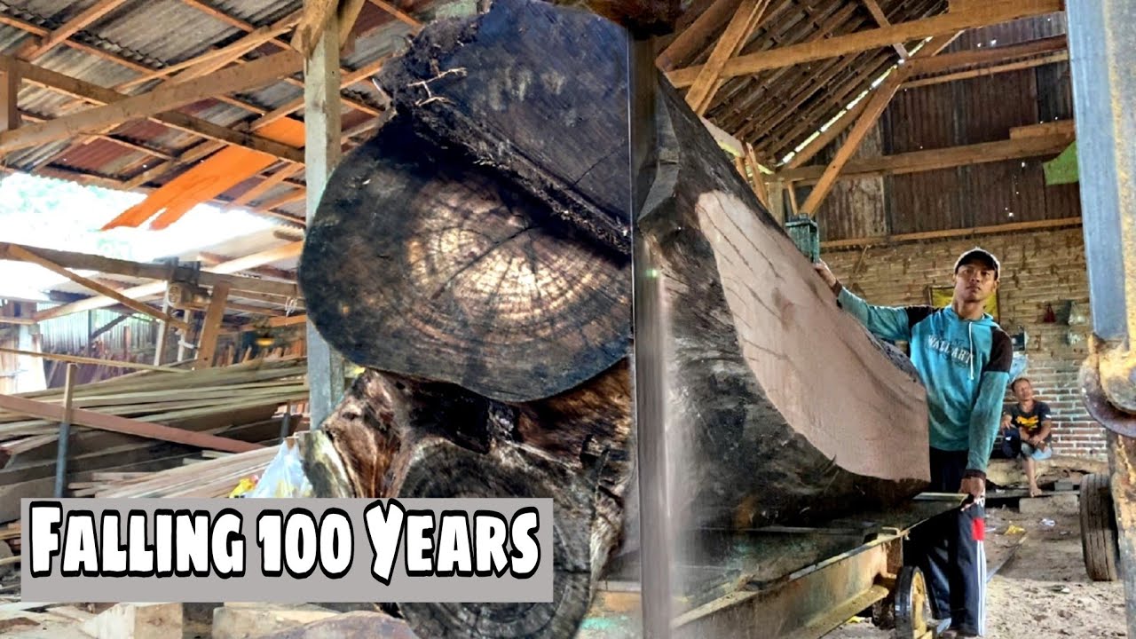 Ancestral Heritage: Uncovering the Secrets of Strong Wadang Wood in a ...