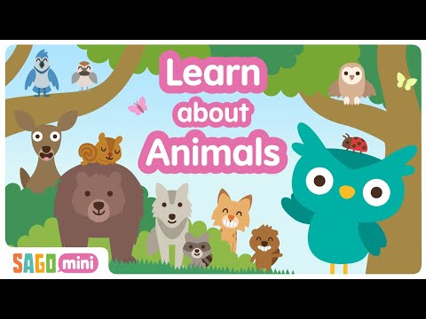 🐾 Sago Mini Animal Mega Mix! | Bugs, Zoo, Oceans, Birds and more 🐞🦁