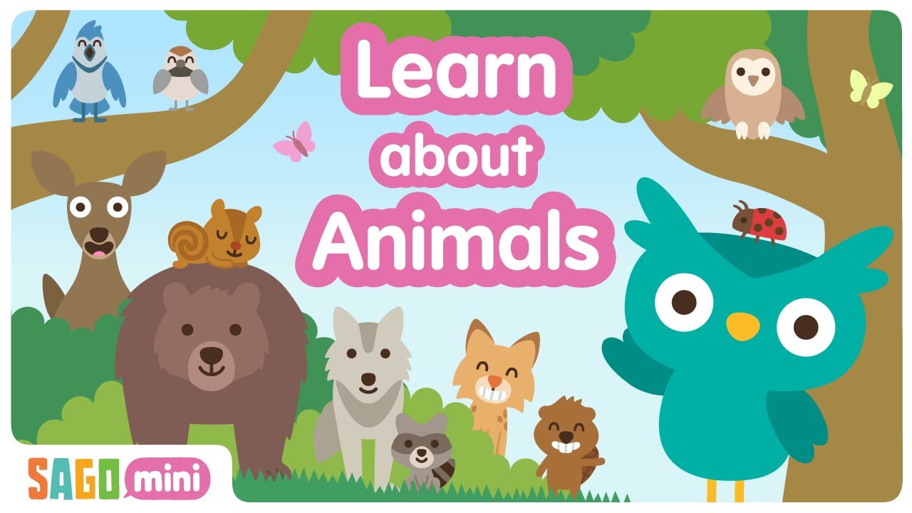 🐾 Sago Mini Animal Mega Mix! | Bugs, Zoo, Oceans, Birds and more 🐞🦁 ...