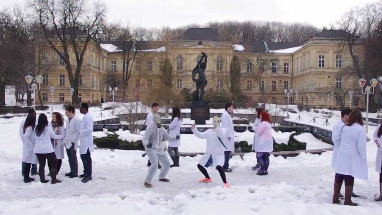 Danylo Halytsky Lviv National Medical University - YouTube