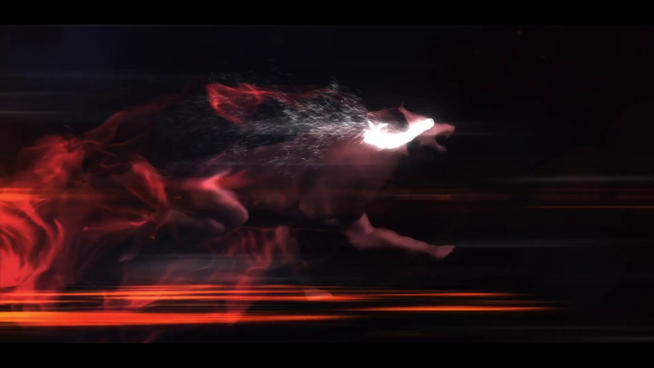 Amazing Intro Logo Animation A41 - YouTube