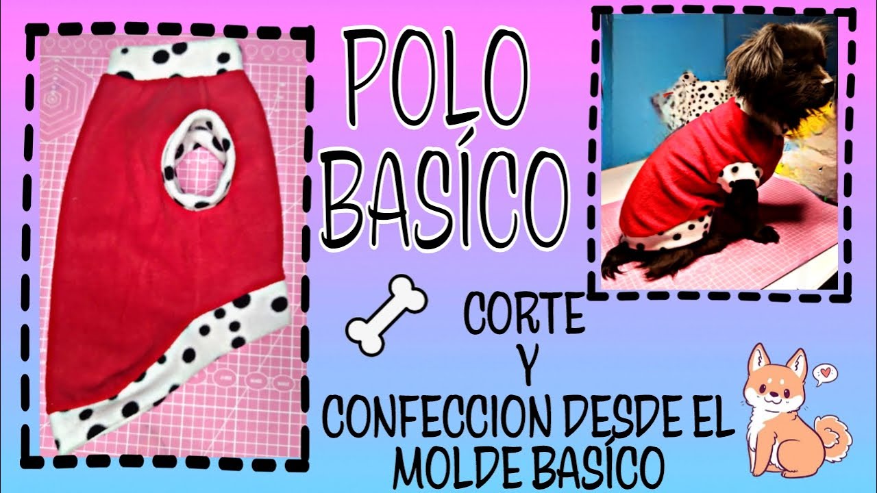 CORTE Y CONFECCIÓN DESDE EL MOLDE BASÍCO - ROPA PARA PERRO - YouTube