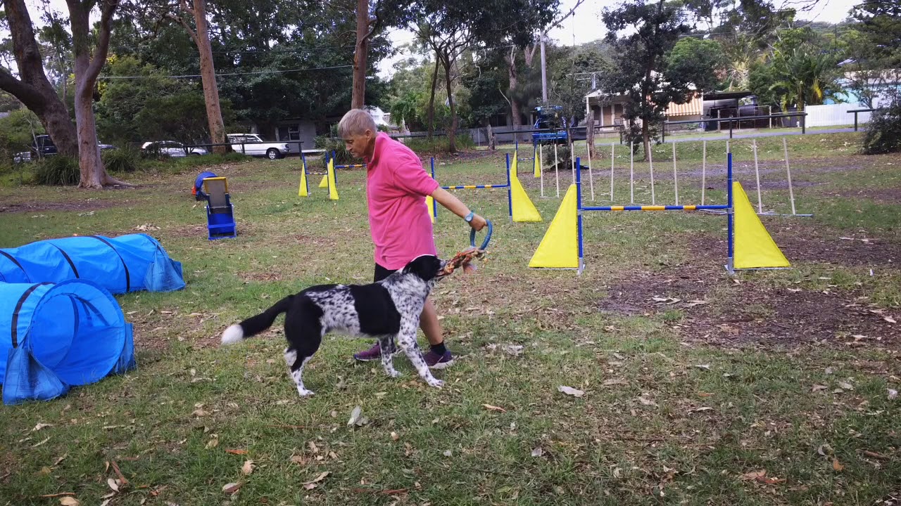 Birgitta's seesaw exercise with Anna Eifert - YouTube