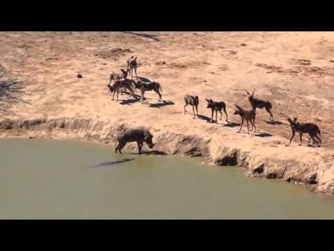 Ölümle Yüzleşmek Bu Olsa Gerek