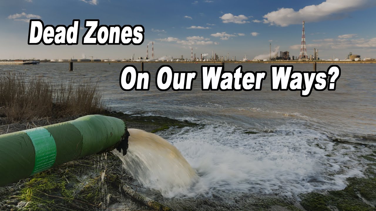 Dead Zones - What Impact Do Animal Wastes, Sewage, And Fertilizers That ...