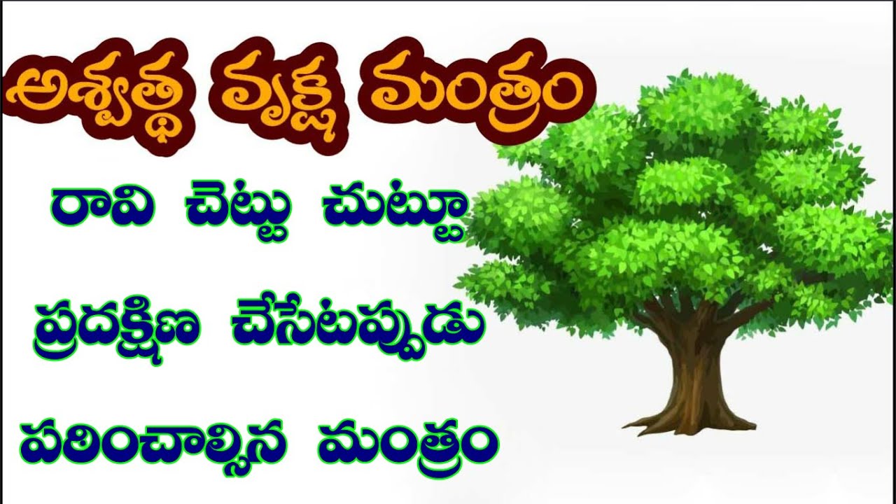 Raavi Chettu Pradakshina Mantram | Peepal Tree Pooja Mantra in Telugu ...