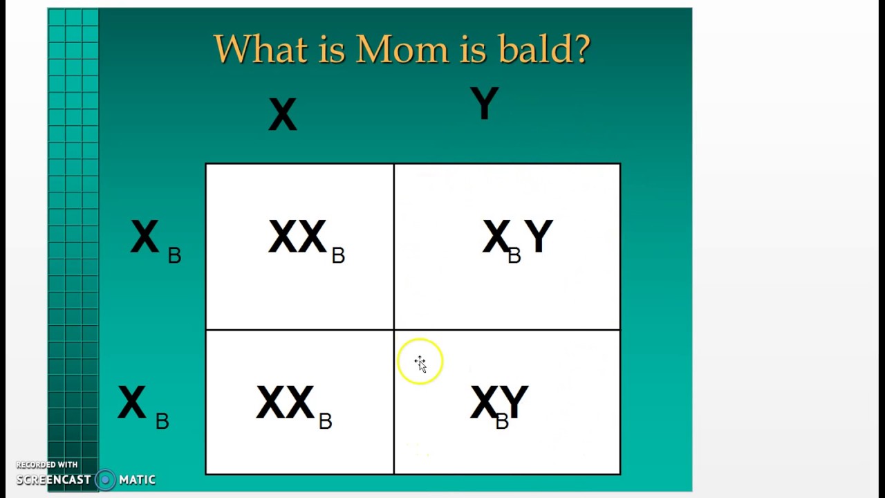 Mr. Minton- Animal Genetics - YouTube