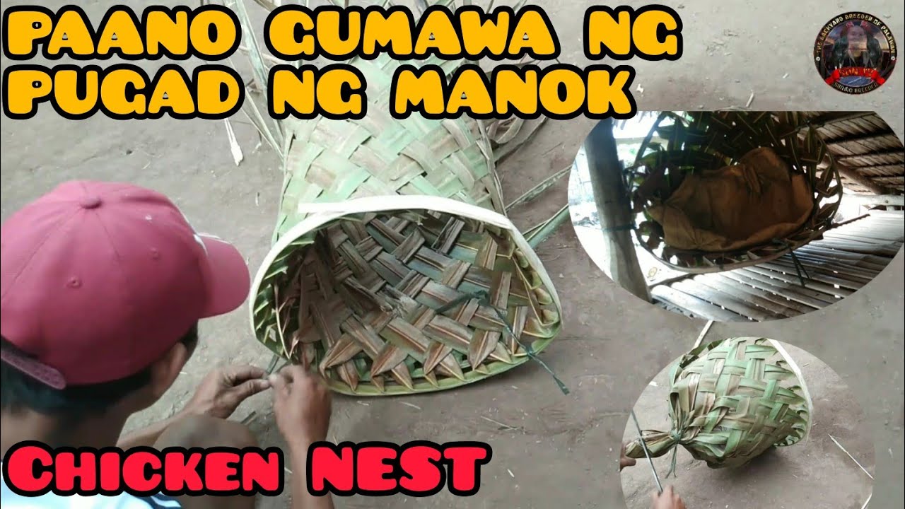 Paano Gumawa Ng Pugaran Ng Manok / How To Make Chicken Nest - YouTube